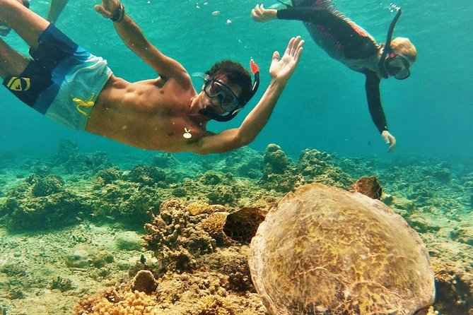 Oahu Circle Island: Snorkel with Turtles & Explore Turtle Beach - Exploring Oahu in Detail