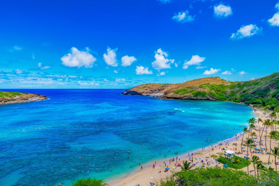 Oahu: Circle Island Top Sights Full-Day Tour w/ Local Guide - The Itinerary: A Deep Dive into the Day’s Adventures
