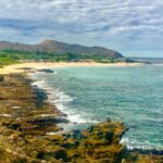Oahu: Circle Island Top Sights Full-Day Tour w/ Local Guide - What Makes This Tour Stand Out?