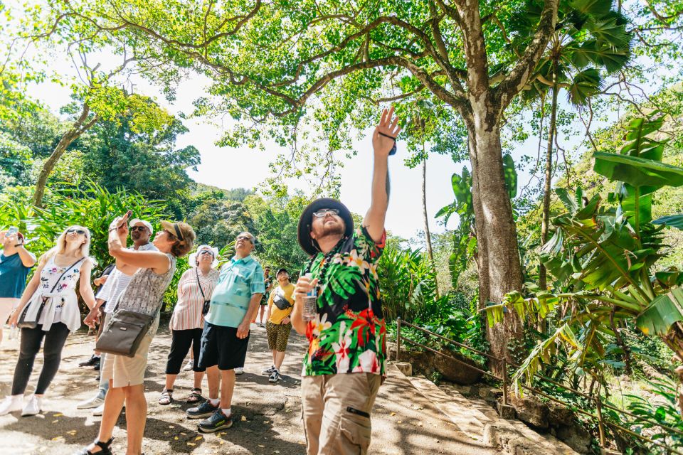 Oahu: Circle Island Tour with Lunch & Waimea Waterfall - Key Points