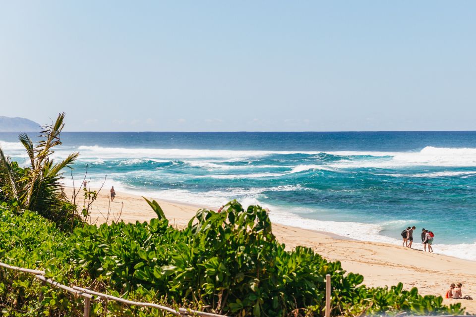 Oahu: Circle Island Tour with Lunch & Waimea Waterfall - Authentic Insights from Reviewers