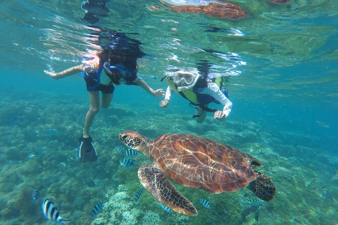 Oahu Coastline Cruise: Turtle Snorkeling and Jumping Platform - What to Expect on the Oahu Coastline Cruise