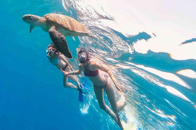 Oahu Coastline Cruise: Turtle Snorkeling and Jumping Platform - The Pros and Cons