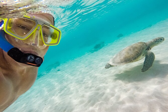 Oahu Coastline Cruise: Turtle Snorkeling and Jumping Platform - FAQs