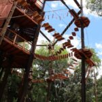 Oahu: Coral Crater Aerial Challenge Course - Who will love this experience?