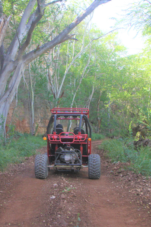 Oahu: Coral Crater Zipline and Offroad ATV Adventure - Final Thoughts: Is This Tour for You?