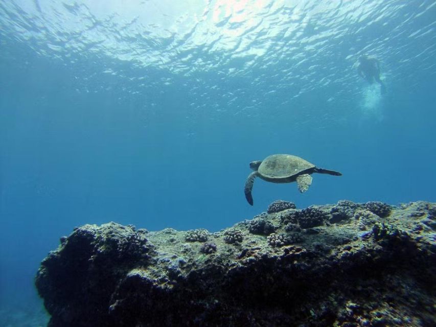 Oahu: Custom Private Island Tour of O'ahu - Who Should Consider This Tour?