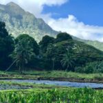 Oahu Customizable Private Community Service Voluntourism Offer - Practical Details: What You Should Know