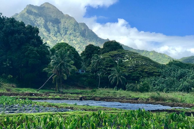 Oahu Customizable Private Community Service Voluntourism Offer - Practical Details: What You Should Know