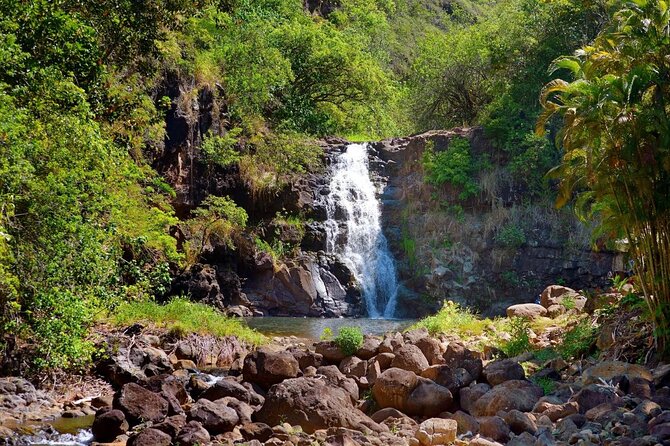 Oahu Deluxe Grand Circle Island Tour - What Makes This Tour Stand Out