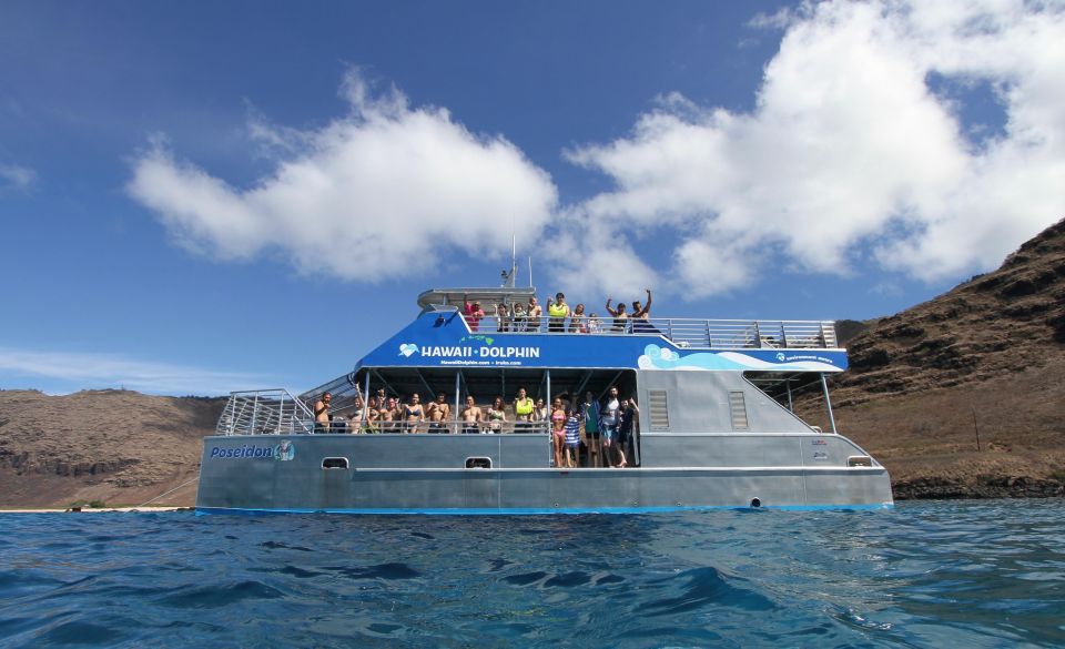 Oahu Dolphin Watch, Turtle Snorkel, Waterslide Activities - What’s Included & What You Might Want to Add