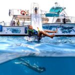 Oahu Dolphin Watch with Turtle Snorkel & Water Slide - The Experience: What Sets It Apart
