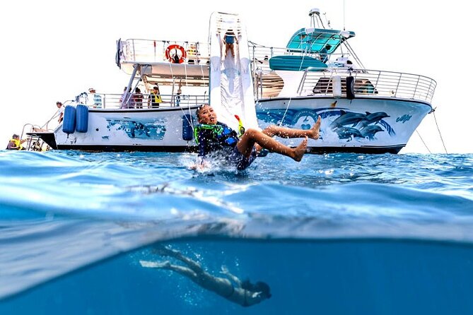 Oahu Dolphin Watch with Turtle Snorkel & Water Slide - The Experience: What Sets It Apart