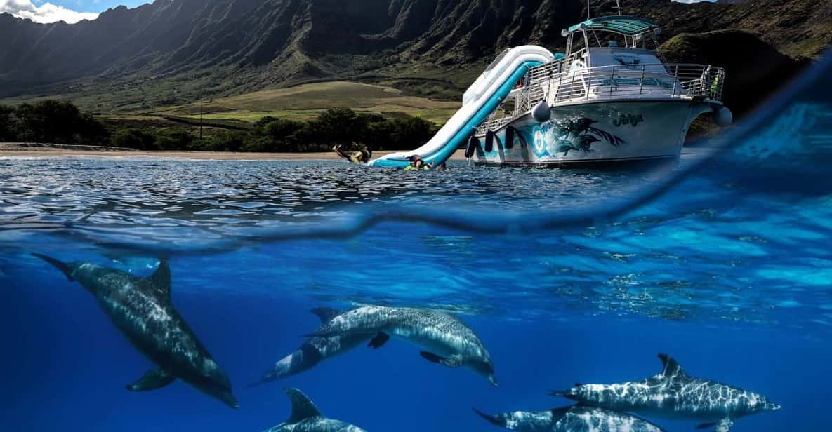 Oahu: Dolphin Watching & Turtle Snorkeling with Waterslide - First Impressions and What Sets This Tour Apart