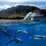 Oahu: Dolphin Watching & Turtle Snorkeling with Waterslide - Detailed Breakdown of the Itinerary