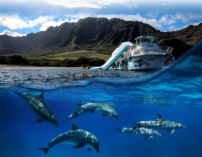 Oahu: Dolphin Watching & Turtle Snorkeling with Waterslide - Detailed Breakdown of the Itinerary