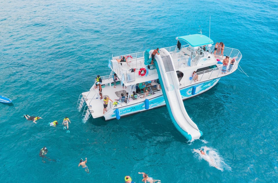 Oahu: Dolphin Watching & Turtle Snorkeling with Waterslide - The Experience from a Guest’s Perspective