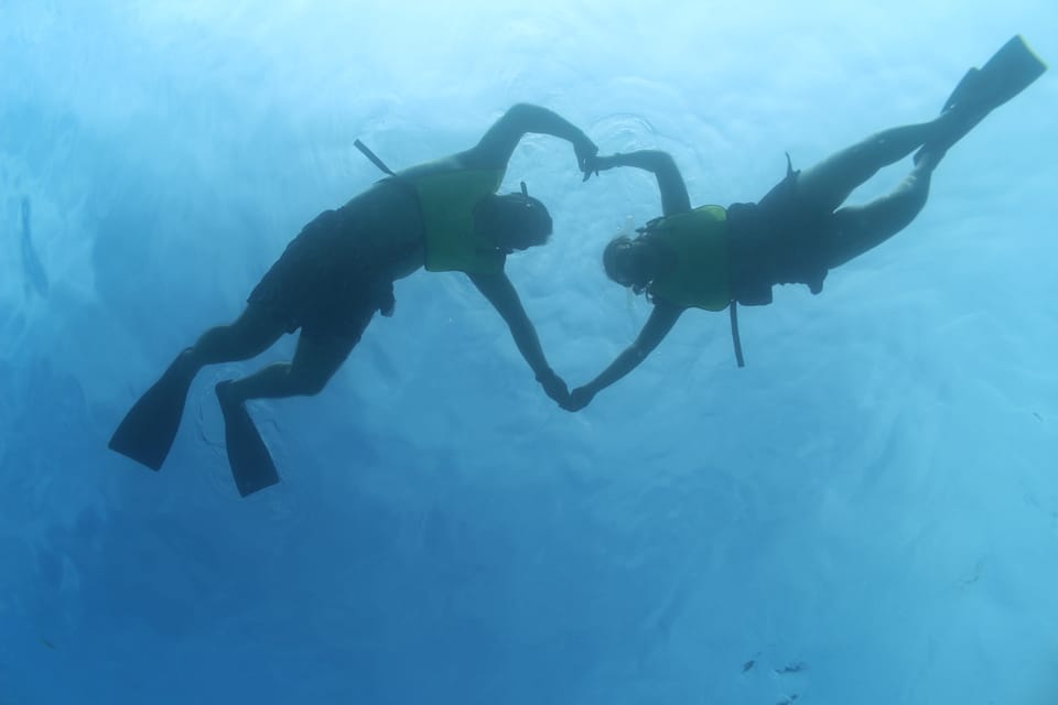 Oahu: Dolphin Watching & Turtle Snorkeling with Waterslide - Who Should Consider This Tour?