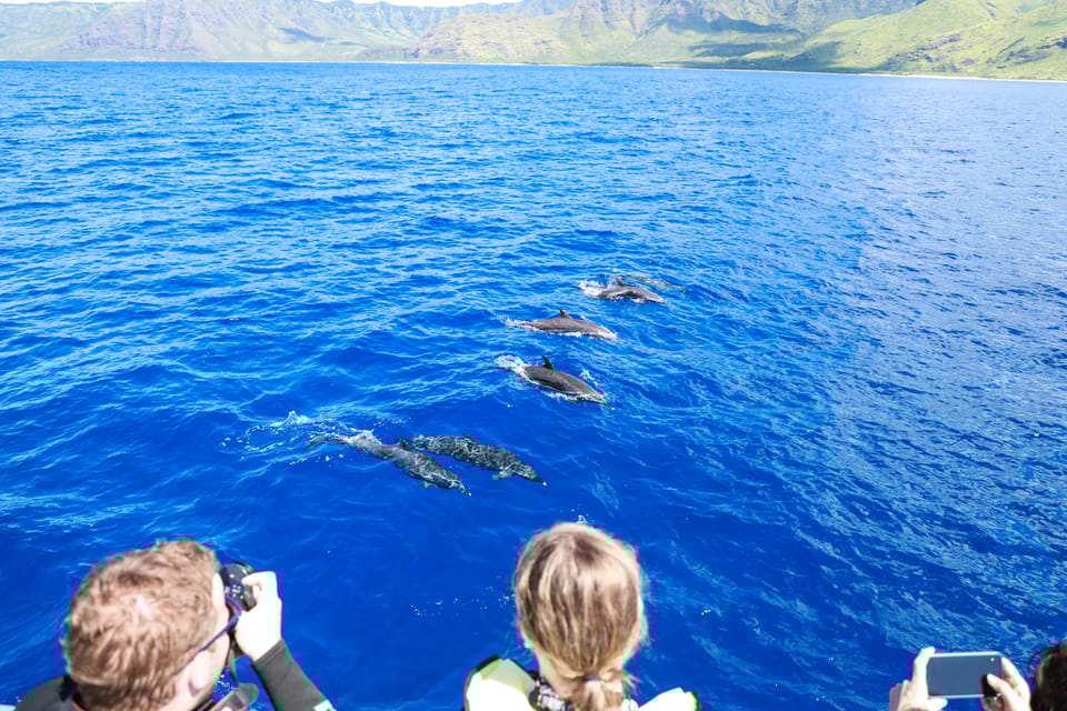 Oahu: Dolphin Watching & Turtle Snorkeling with Waterslide - Final Thoughts