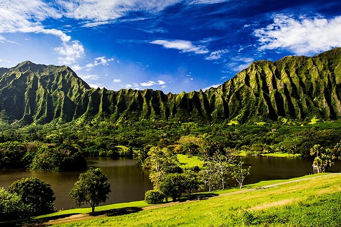 Oahu East Coast to Mountain Slingshot Tour - What Reviewers Say