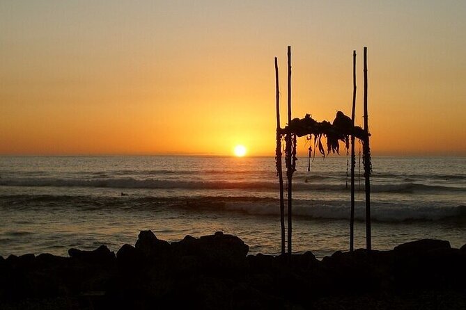 Oahu Grand Circle Island Experience from Waikiki - Final Thoughts: Who Is This Tour Perfect For?