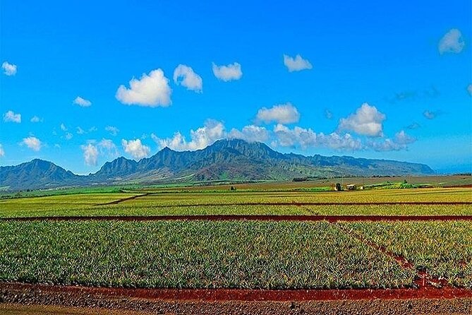 Oahu Grand Circle Island Experience from Waikiki - Iconic North Shore Sights: Chinaman’s Hat and Turtle Bay