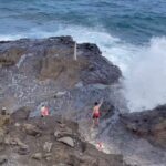 Oahu Guided Circle Island Tour, Swim w/ Turtles, Dole, Blowhole - What the Reviews Tell Us
