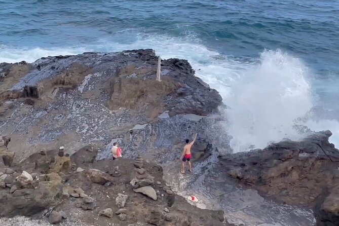 Oahu Guided Circle Island Tour, Swim w/ Turtles, Dole, Blowhole - What the Reviews Tell Us
