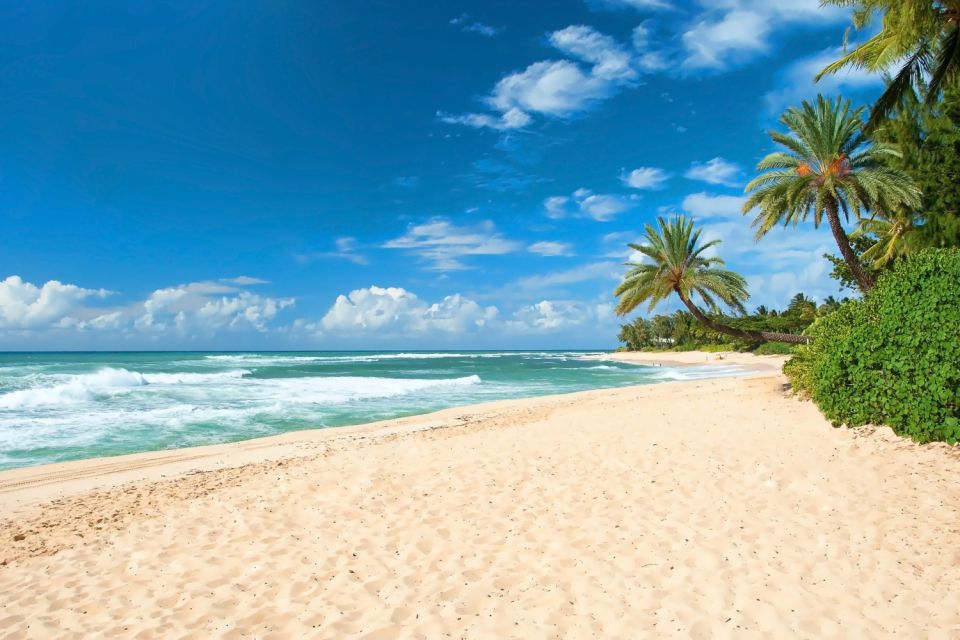 Oahu: Guided Tour of North Shore and Waimea Botanical Garden - An In-Depth Look at What to Expect