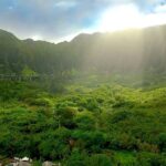 Oahu: Guided Tour of North Shore and Waimea Botanical Garden - Practical Details and How It Fits Your Travel Style