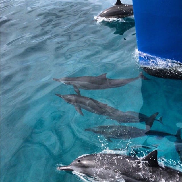Oahu Hawaii: Honolulu Sailing Tour - Oahu Hawaii: Honolulu Sailing Tour – A Relaxed Way to Experience the Islands Coastal Charm