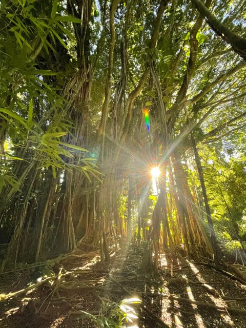 Oahu: Hidden Hawaii Waterfall Hike and Beach Tour - Exploring the Oahu: Hidden Hawaii Waterfall Hike and Beach Tour