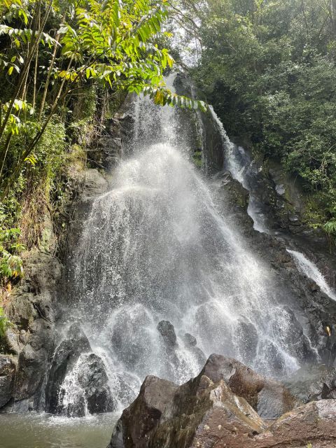 Oahu: Hidden Hawaii Waterfall Hike and Beach Tour - Who Should Consider This Tour?