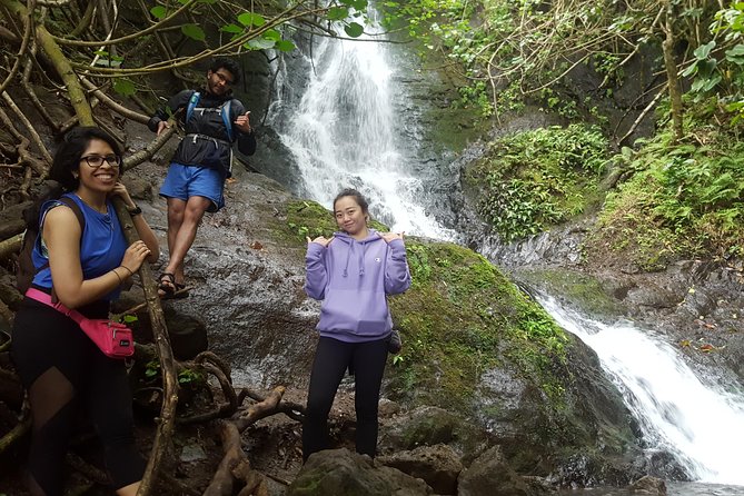 Oahu Hidden Waterfall Hike: A Tropical Paradise Adventure - The Value of This Experience
