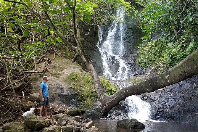 Oahu Hidden Waterfall Hike: A Tropical Paradise Adventure - Who Will Love This Tour?