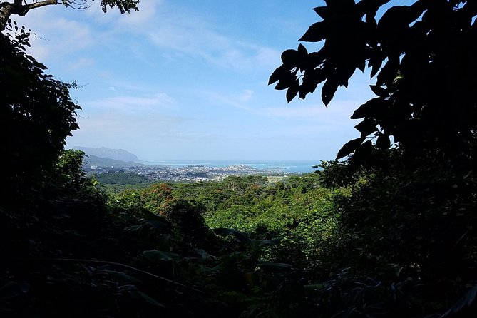 Oahu Hidden Waterfall Hike: A Tropical Paradise Adventure - The Sum Up
