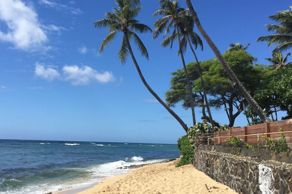 Oahu: Highlights of Oahu Small Group Tour - Final Thoughts: Who Should Book This Tour?