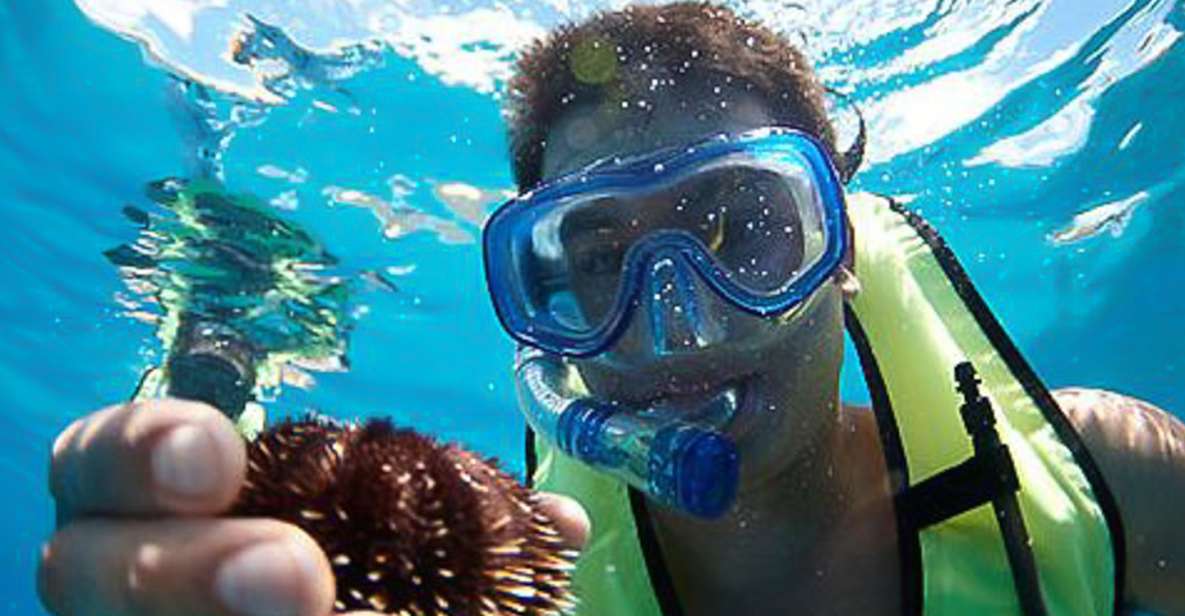 Oahu: Hilton Hawaiian Village Snorkel Tour - Key Points