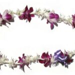 Oahu: Honolulu Airport (HNL) Traditional Lei Greeting - What to Expect from the Lei Greeting Experience