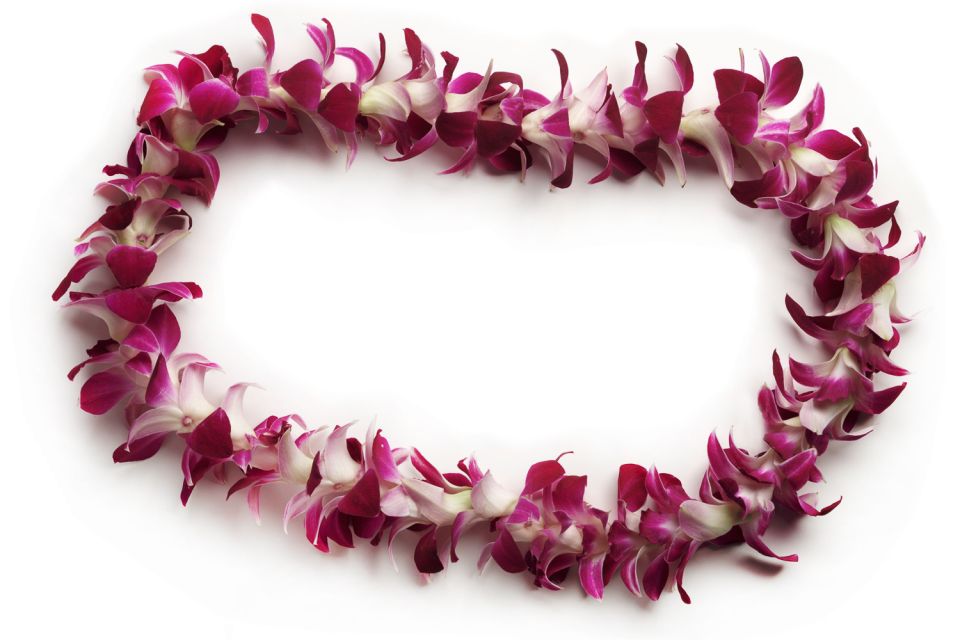 Oahu: Honolulu Airport (HNL) Traditional Lei Greeting - Pricing and Value