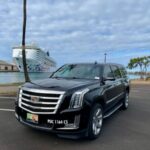 Oahu: Honolulu Harbor Cruise Terminal Transfer - Authentic Details from Real Travelers