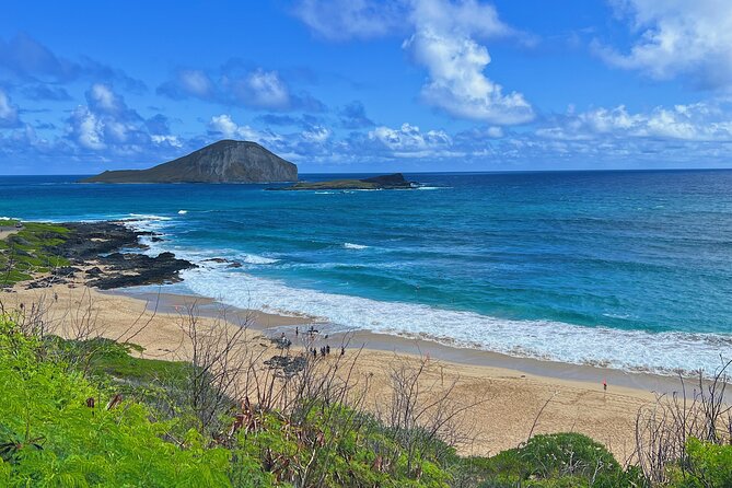 Oahu Island Experience feat the North Shore (Small Group Tour) - Transport, Timing, and Comfort