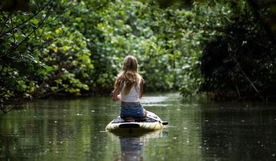 Oahu: Kahana River Stand-Up Paddleboard Rental - Why This Tour Provides Great Value