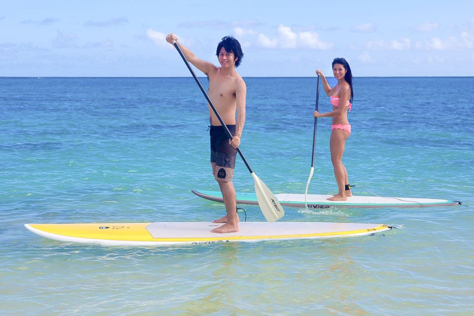 Oahu: Kailua Stand Up Paddle Board Lesson - What to Expect from the Kailua Stand Up Paddle Board Lesson