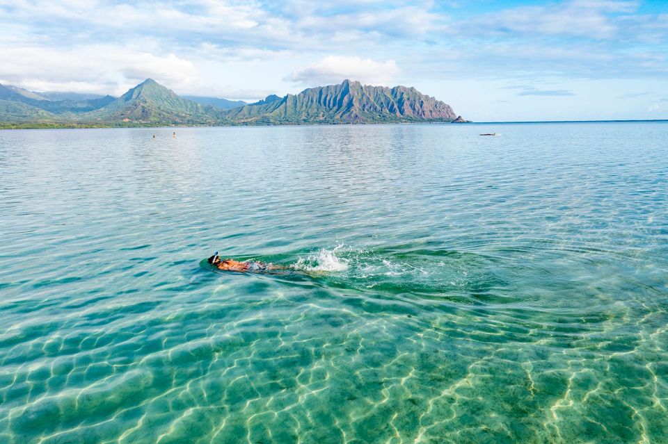 Oahu: Kaneohe Bay Coral Reef Kayaking Rental - Authentic Experiences and Practical Tips