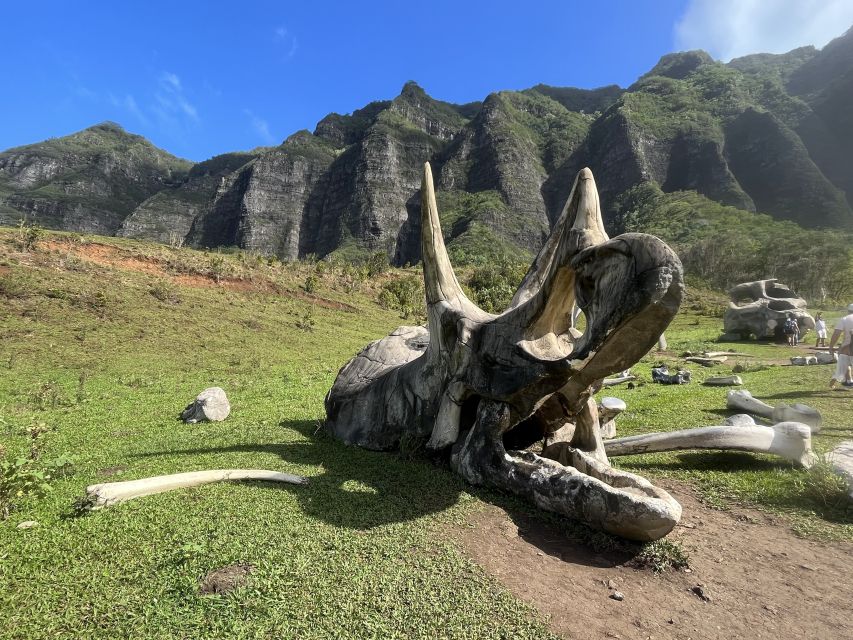 Oahu: Kualoa Movie Sites, Jungle, and Buffet Tour Package - Is It Worth the Price?