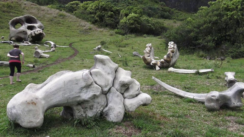 Oahu: Kualoa Movie Sites, Jungle, and Buffet Tour Package - Final Thoughts