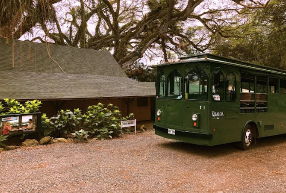 Oahu: Kualoa Movie Sites, Jungle, and Buffet Tour Package - FAQ