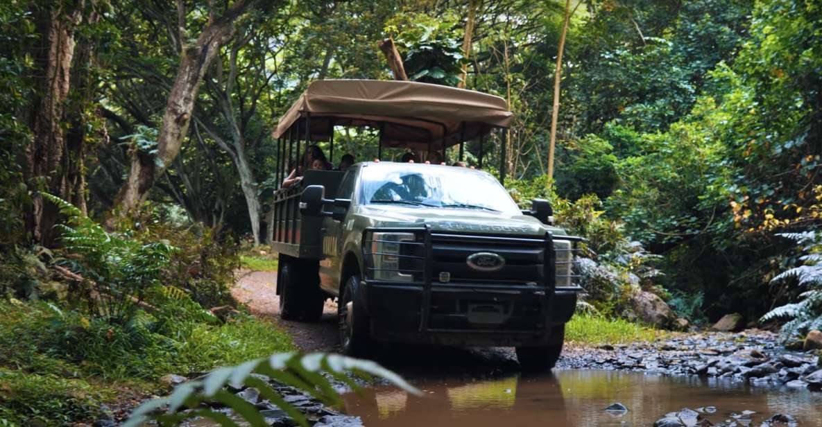 Oahu: Kualoa Open Air Jungle Expedition Tour - In-Depth Review of the Kualoa Jungle Expedition Tour