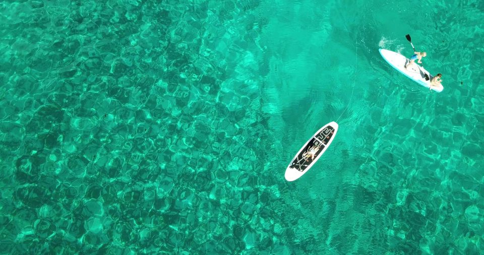 Oahu: Luxury 50' Catamaran Cruise with Snorkeling and Sunset - An In-Depth Look at the Experience